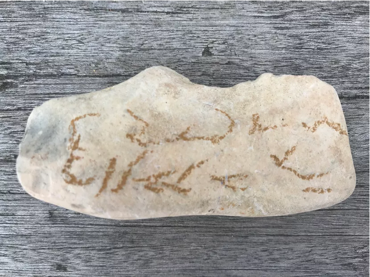 Some speculations on asemic writing and the productive embrace of ...